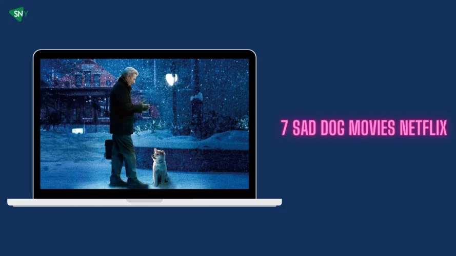 7 Sad Dog Movies Netflix - August 2025 | ScreenNearYou