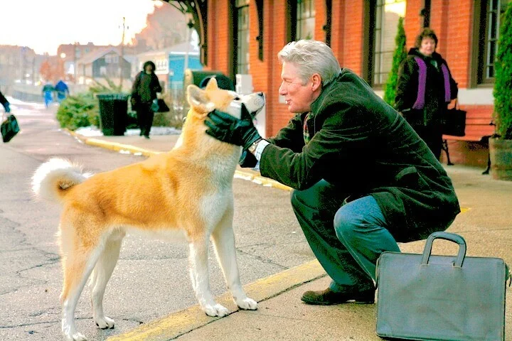 7 Sad Dog Movies Netflix - May 2026 | ScreenNearYou